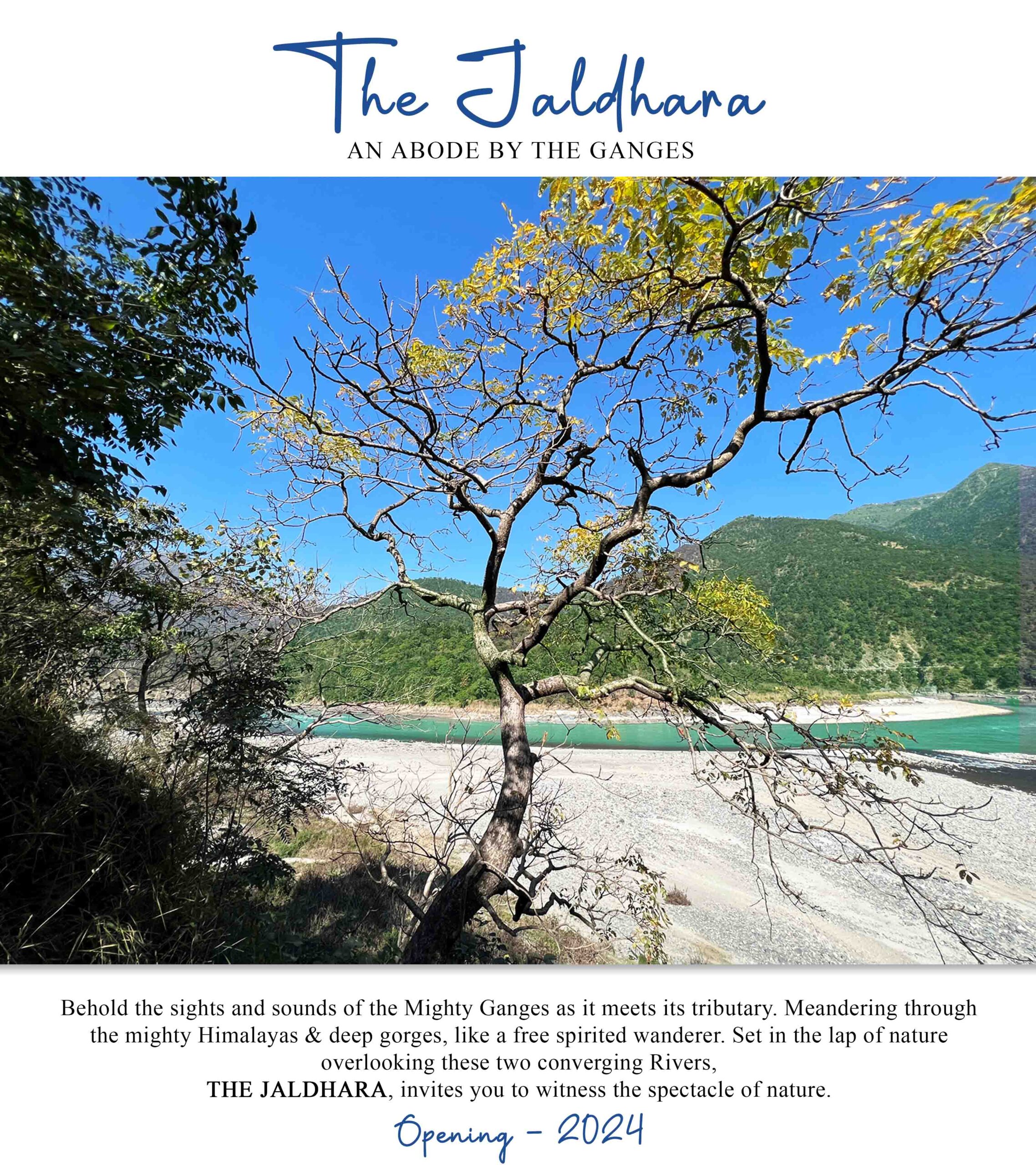 The Jaldhara - Where Serenity meets Adventure - The Jaldhara